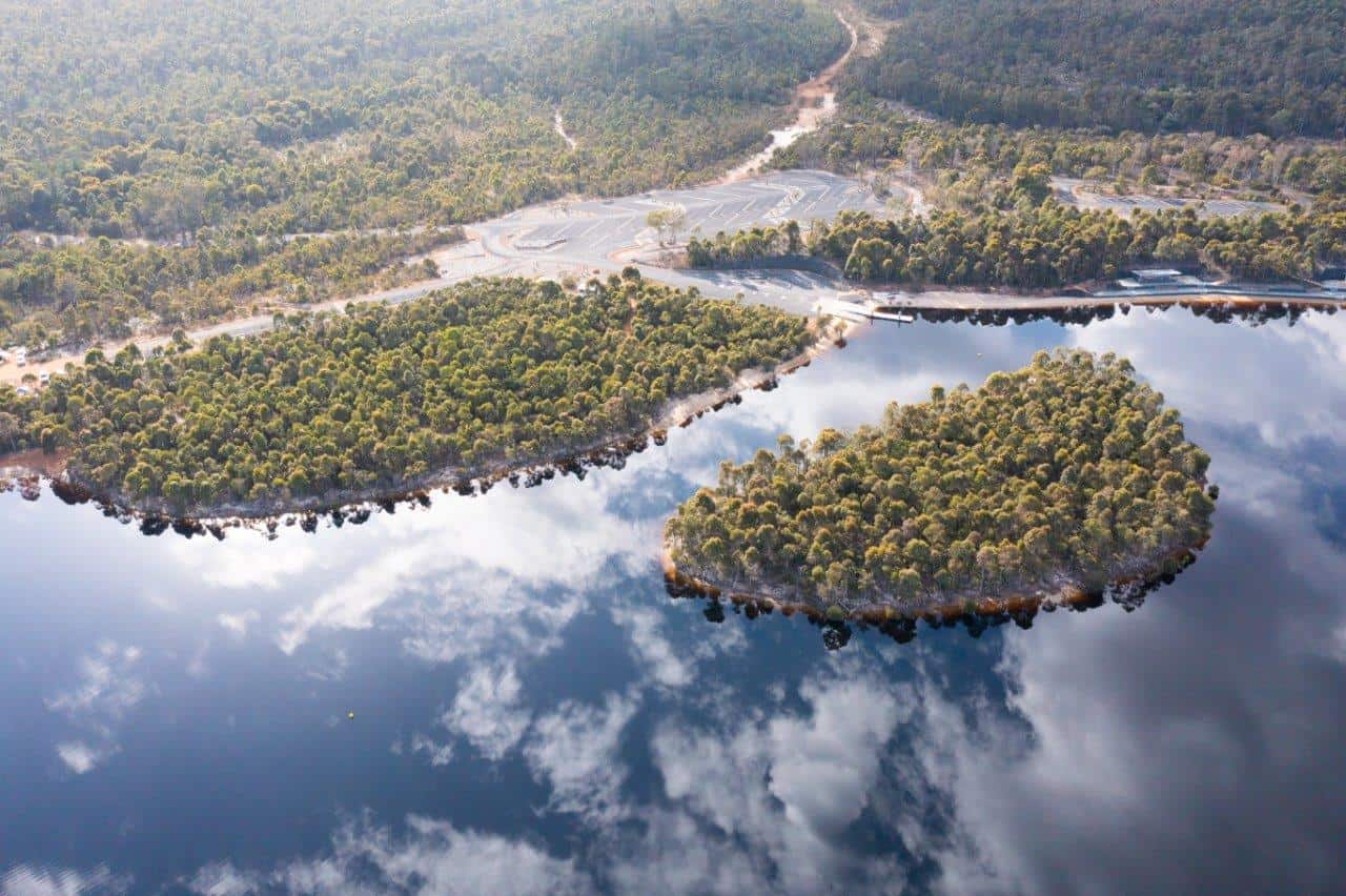 Collie Central | Unveiling Collie’s Metamorphosis: From Coal-Embraced ...